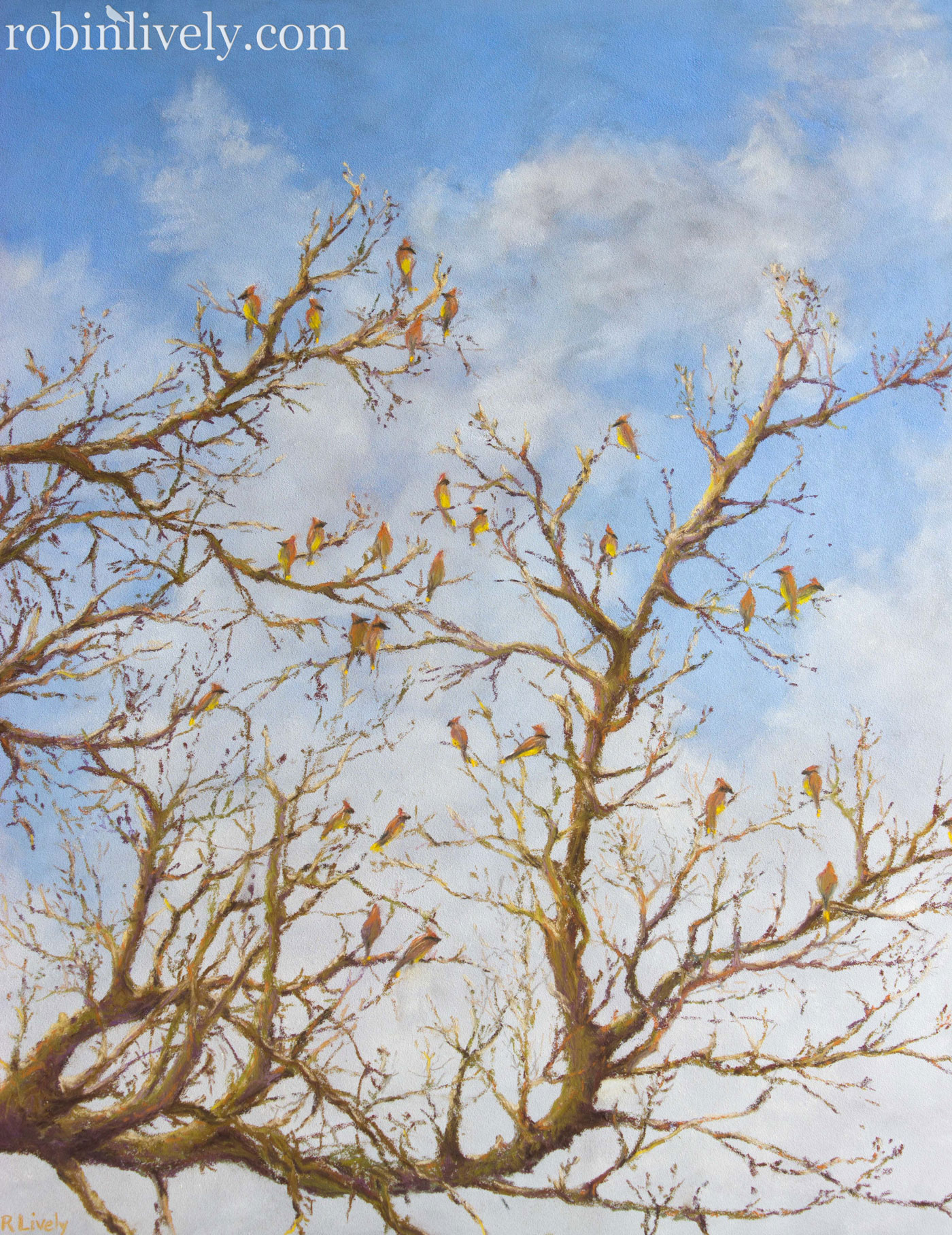 Austin-Bergstrom International Airport – Robin Lively