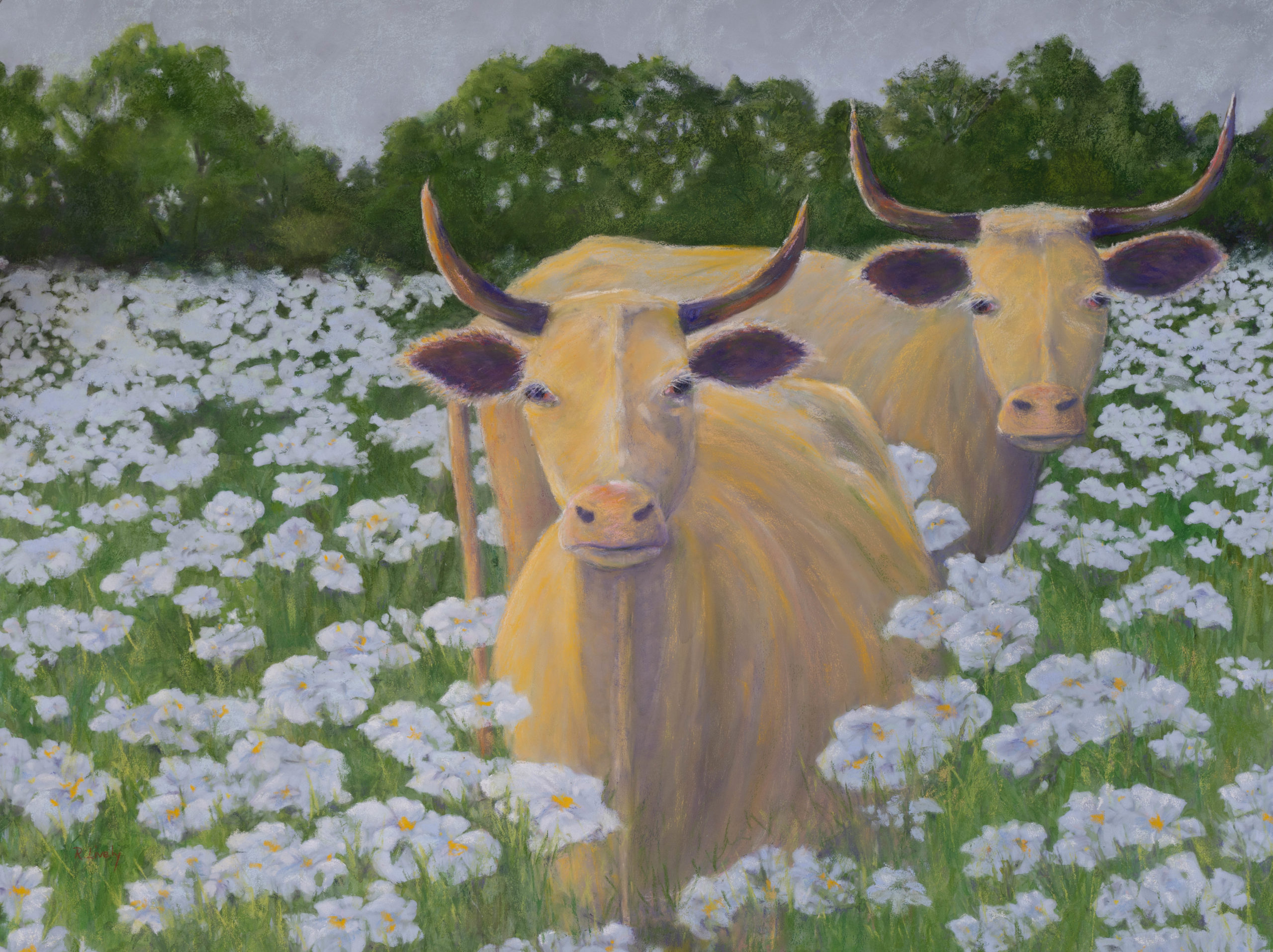 Austin-Bergstrom International Airport – Robin Lively